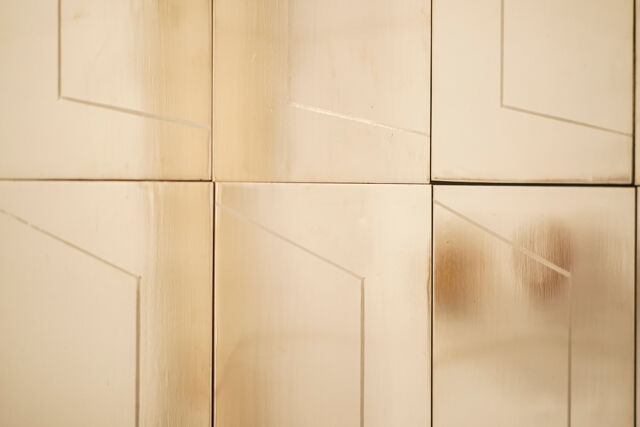 Artist - Astha Butail - KEWENIG